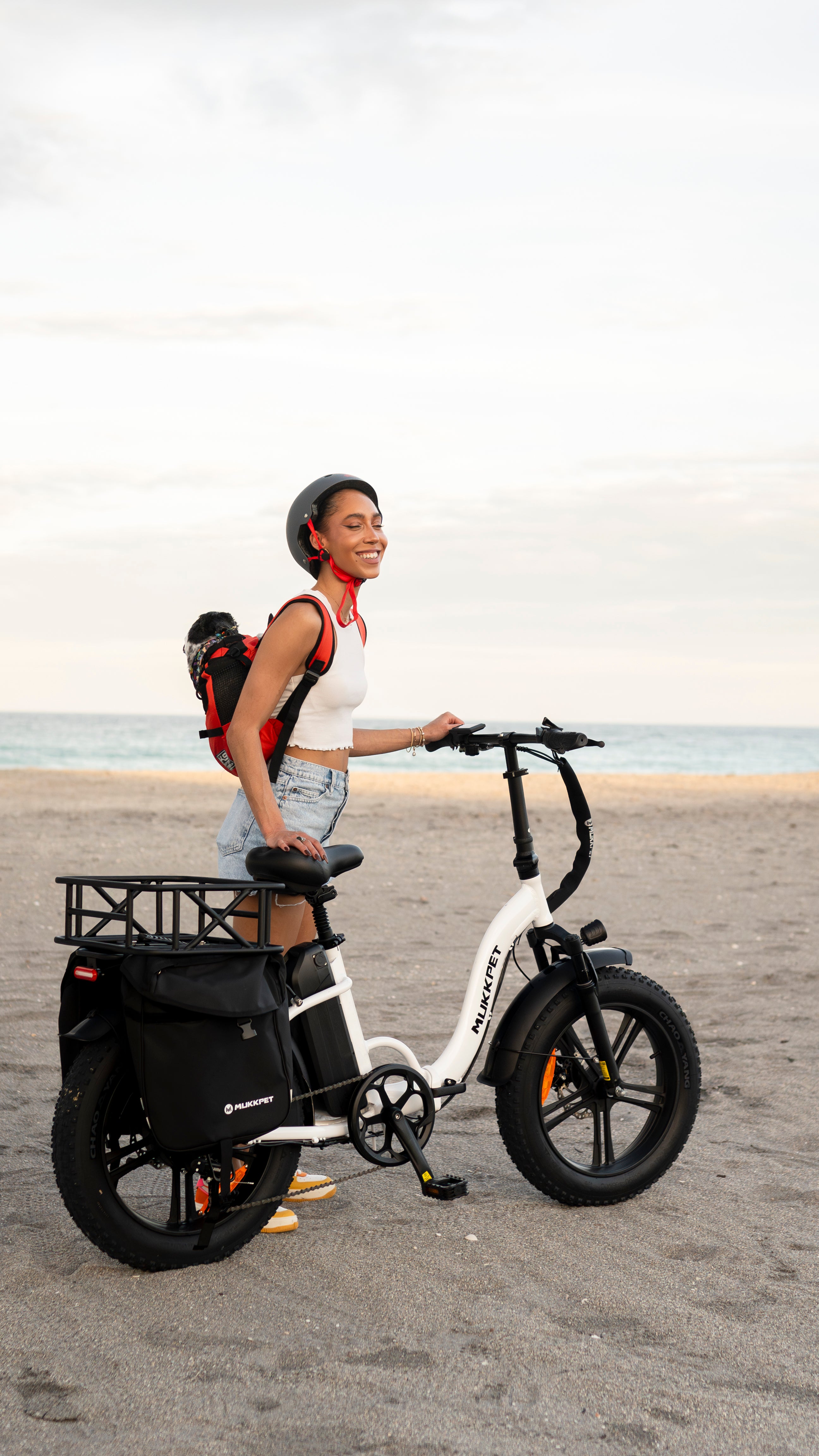 Ebike | Electric Bike | Power Bike | Electric Fat Bike | Mukkpet Ebike – mukkpet bike